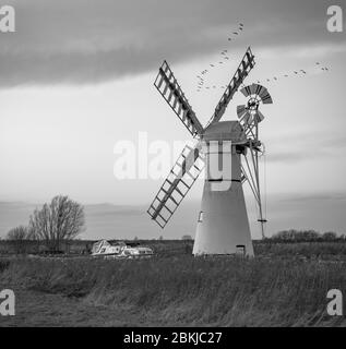 Windmill at the Thurne Staithe, river Thurne, Norfolk Broads Stock ...