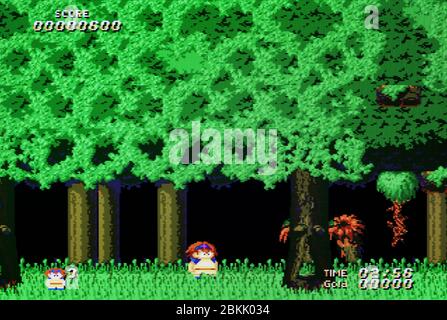 Wardner - Sega Genesis Mega Drive - Editorial use only Stock Photo - Alamy