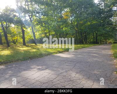A path through a sparse forest and trees. The path was a walking path ...