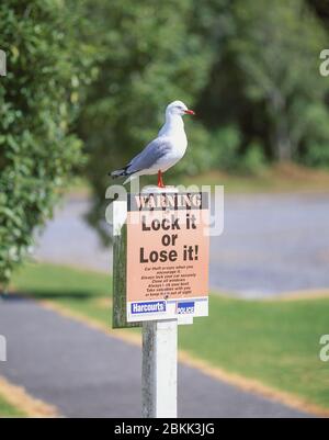 Warning Sign, Lock it or Lose it, car theft, warning against thieves ...