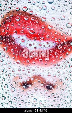 Lips close-up through drops of water on glass Stock Photo - Alamy