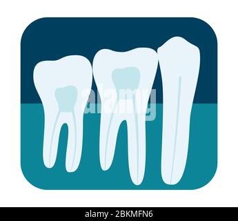 Dental xray scan. Human teeth radiography, medical test of human tooth ...