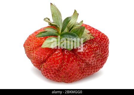 Mutated strawberry isolated on white background Stock Photo - Alamy