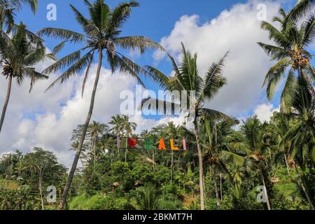 'Love Bali' sign at the Tegallalang rice terraces near Ubud, Bali ...