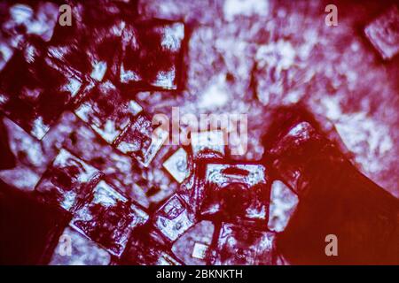 amazing salt crystals under the microscope Stock Photo - Alamy