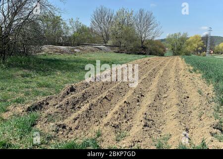 Hitler can be seen in the picture receiving the hammer from the foreman ...