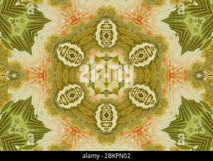 The Leek Embroidery set was inspired by a work held by the Rijkksmuseum ...