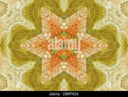 The Leek Embroidery set was inspired by a work held by the Rijkksmuseum ...