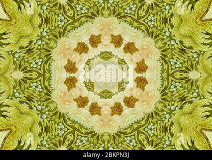 The Leek Embroidery set was inspired by a work held by the Rijkksmuseum ...