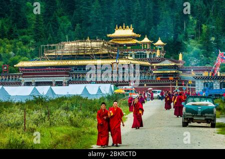 China, eastern Tibet, or Kham, Dzogchen monastery, ceremony in honor of ...