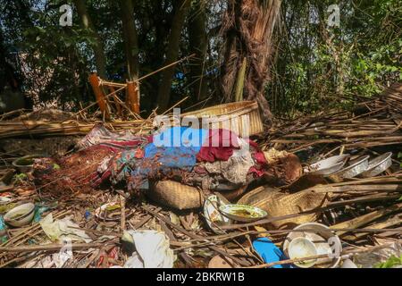 Human remains wrapped in colored cloth. Decomposing bodies lie on the ...