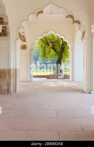 interior, Rang Mahal, Red Fort, Delhi, India, Asia, UNESCO World ...