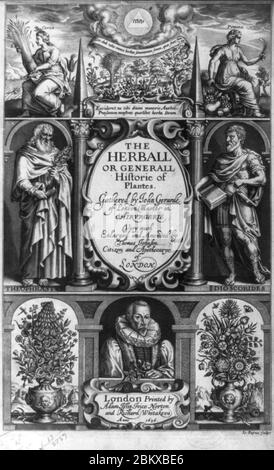 The herball, or, Generall historie of plantes (Page 1219 Stock Photo ...