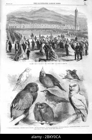 ILN 1866, p. 209 Stock Photo - Alamy