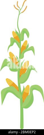 corn plant green isometric icon vector illustration Stock Vector Image & Art - Alamy