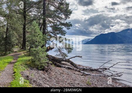 Teletskoye lake, Yaylyu village, Altay Republic, Russia Stock Photo - Alamy