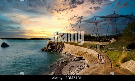 Living Coasts aquarium and Aviary, Torquay, Torbay, England, UK Stock ...