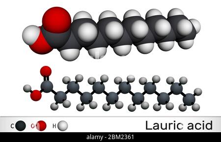 Lauric acid, dodecanoic acid, C12H24O2 molecule. It is a saturated ...