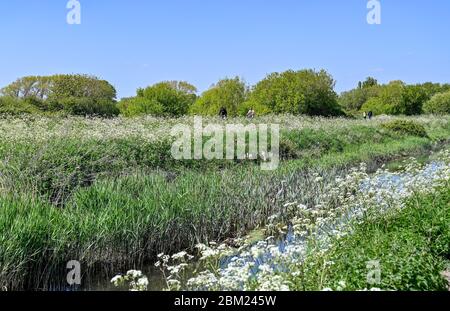 The River Rife at Ferring Worthing West Sussex UK Stock Photo - Alamy
