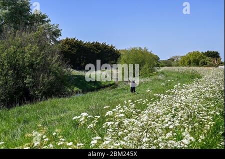 The River Rife at Ferring Worthing West Sussex UK Stock Photo - Alamy