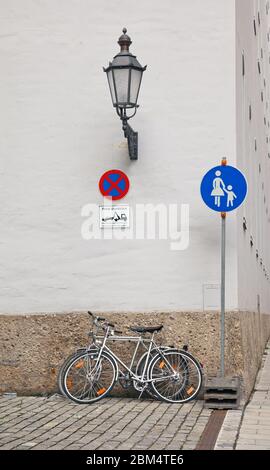 Urban parking sign near old tree on green city street in spring season ...