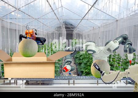 Industrial robot that were apply for agricultural to work packing the ...