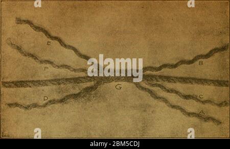 "Farm craft lessons" (1919 Stock Photo - Alamy
