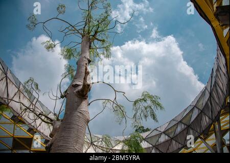The Perdana Canopy, a unique structure of modern geometric design ...