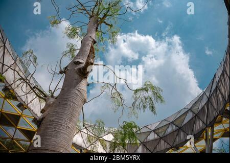 The Perdana Canopy, a unique structure of modern geometric design ...