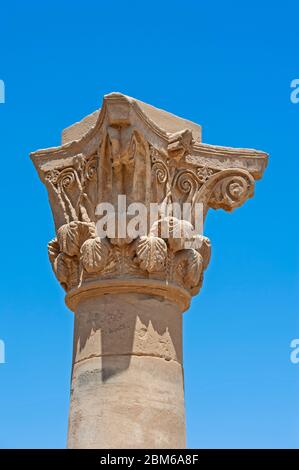 Ancient roman script on column of Marcus Aurelius in Rome, Italy Stock ...
