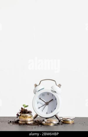 Tree leaf on save money coins, Business finance saving banking ...