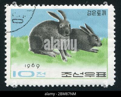 NORTH KOREA - CIRCA 1969: Two white rabbits play, circa 1969 Stock ...
