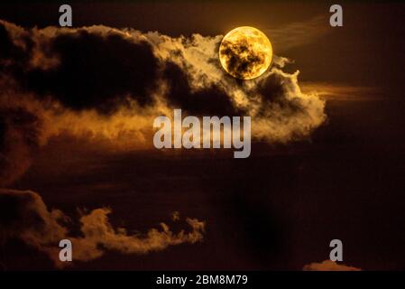 Chipping, Preston, Lancashire, UK. 7th Dec, 2022. The sun lighting up ...