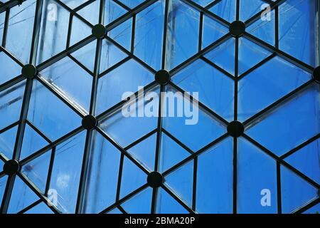 Tropical green rainforest in Climatron geodesic conservatory dome at ...