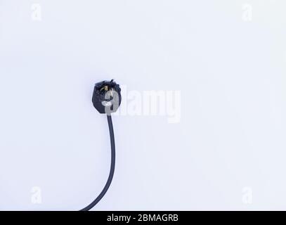 Burnt electrical plug Stock Photo - Alamy