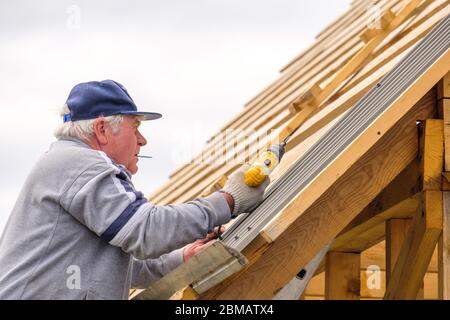 Worker fastens metal sheets to wooden joins beams supports with drill ...