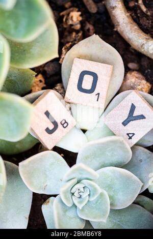 Joy in block letters Stock Photo - Alamy