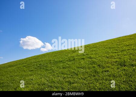 Meadow and cloud scene like windows xp wallpaper Stock Photo - Alamy