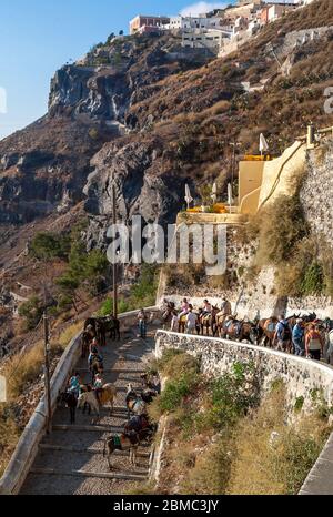 Mules Carrying Heavy Loads & Tourists Cimbing Stone Steps to the ...