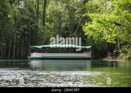 Glass Bottom Boat Silver Springs State Park Ocala, Florida USA Stock Photo - Alamy