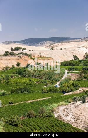 Agricultural farm near Pella Ruins, Jordan valley,Tabqet Fahel, Tabaqat ...