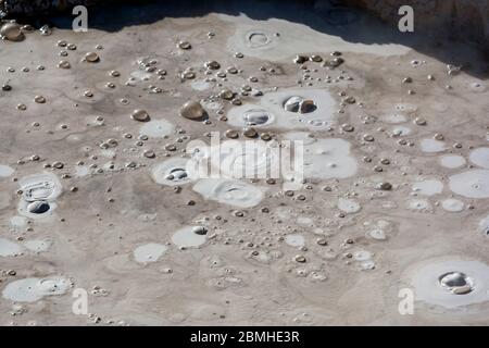 Mud pools, in Orakei Korako Thermal Park, Taupo Volcanic Zone, New ...