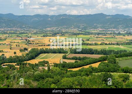Summer landscape from Citerna, Arezzo, Tuscany, Italy Stock Photo - Alamy
