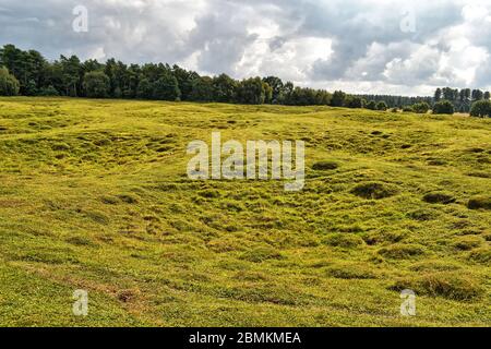United Kingdom - England - Norfolk - Grime's Graves. Archeological Site ...