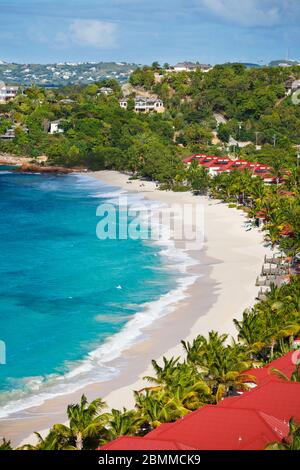high angle coconut tree in the daytime, Tree blue sky, tree top against ...