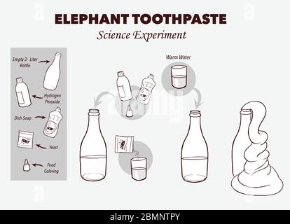 Vector illustration of Elephant's toothpaste experiment Stock Vector ...