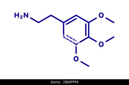 Mescaline peyote cactus psychedelic molecule. Stylized skeletal formula ...