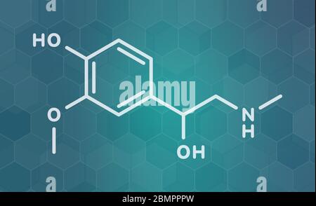 Metanephrine (metadrenaline) molecule. Metabolite of epinephrine that ...