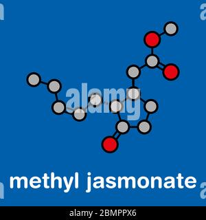 Methyl jasmonate plant stress signal molecule. Skeletal formula Stock ...