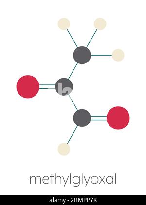 Methylglyoxal (pyruvaldehyde) molecule. Produced by glycolysis; is ...